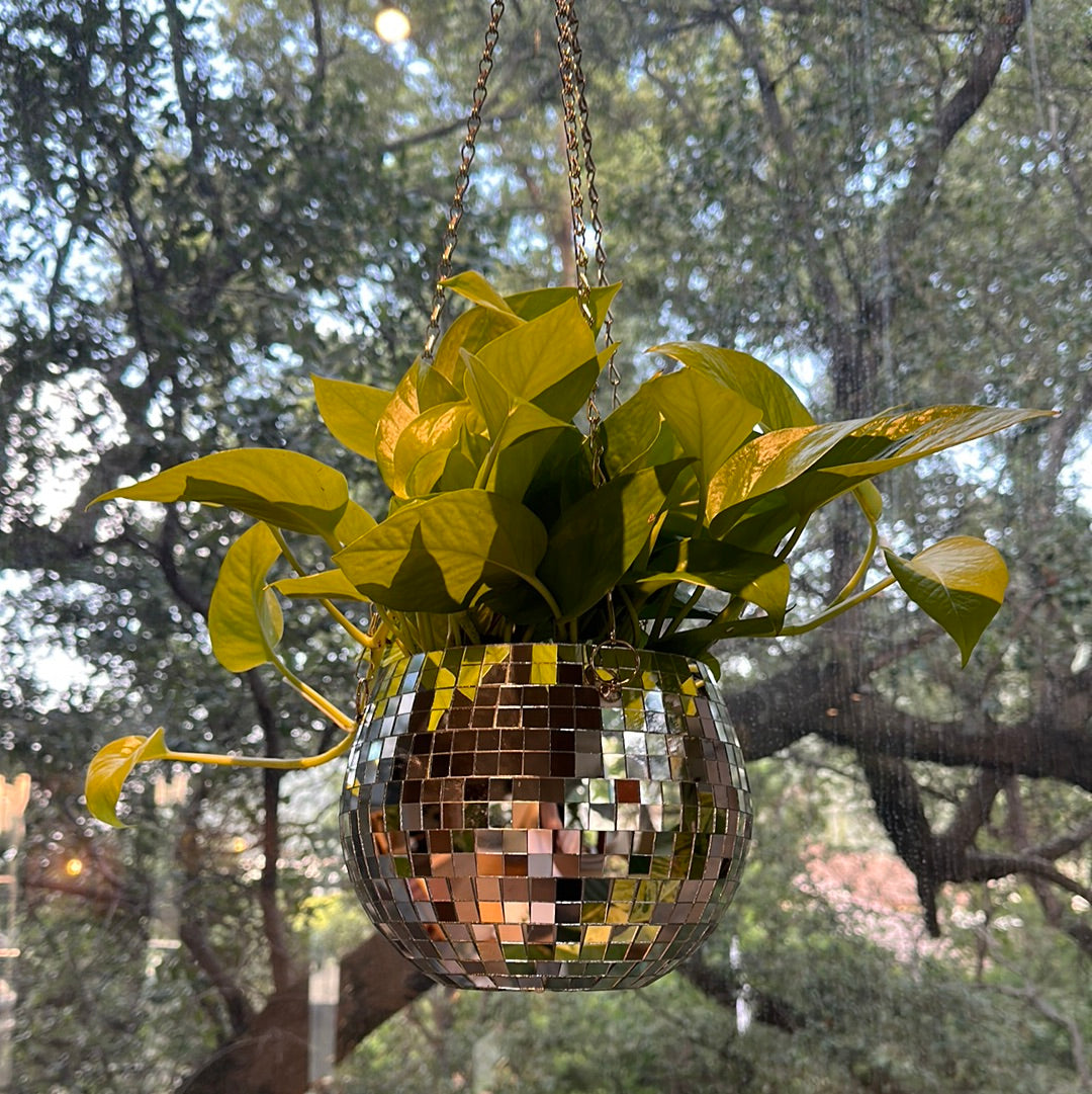 Maceta Disco Ball – DiosaPalma